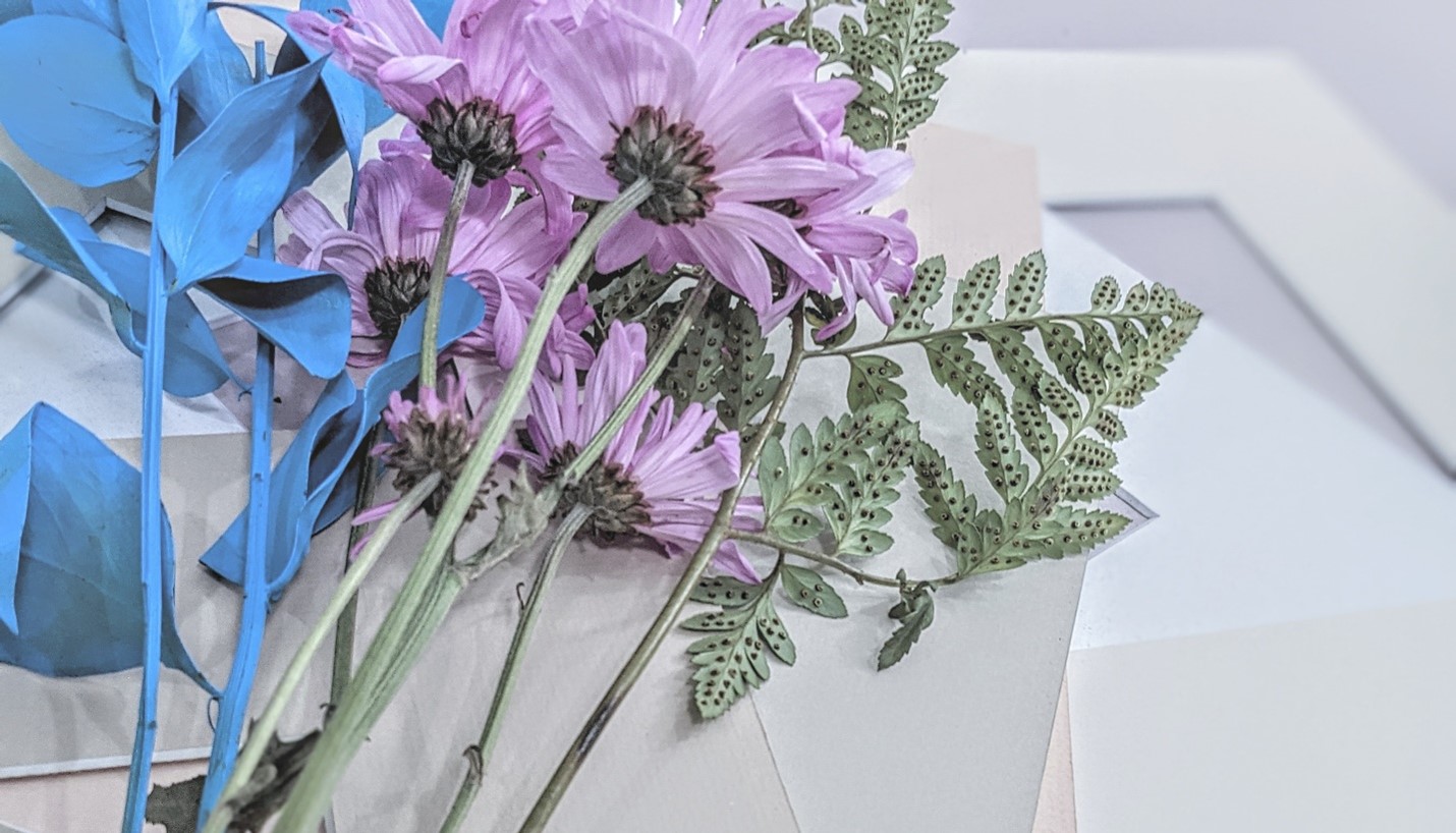 Customize your Matboard Online • Free Shipping to Canada & the USA ...